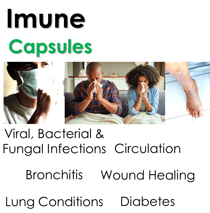 Herbal Capsules: Imune Capsules 200's